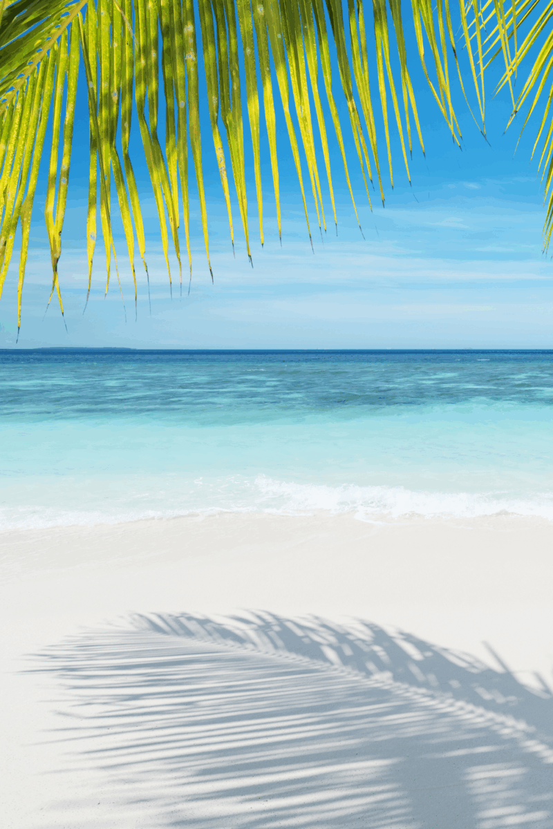 Stunning Summer Phone Wallpapers - Heartfelt Journey